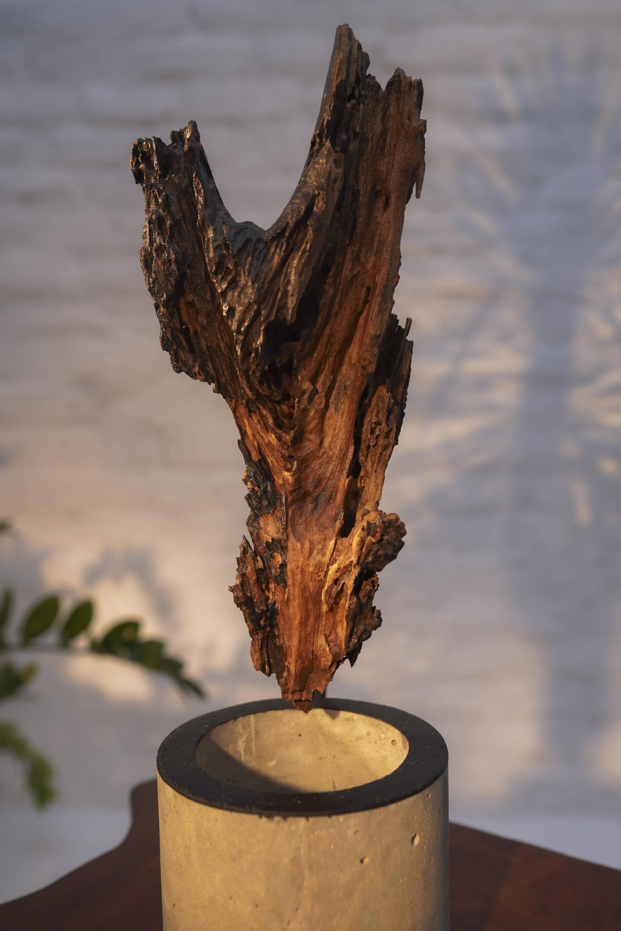 Rotten Artsy Lamp – Archizy