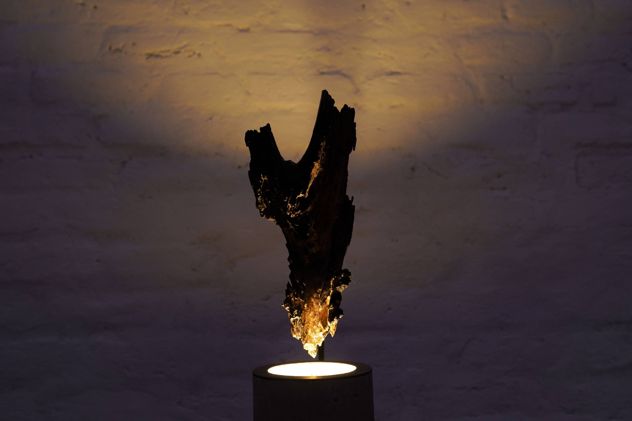 Rotten Artsy Lamp – Archizy