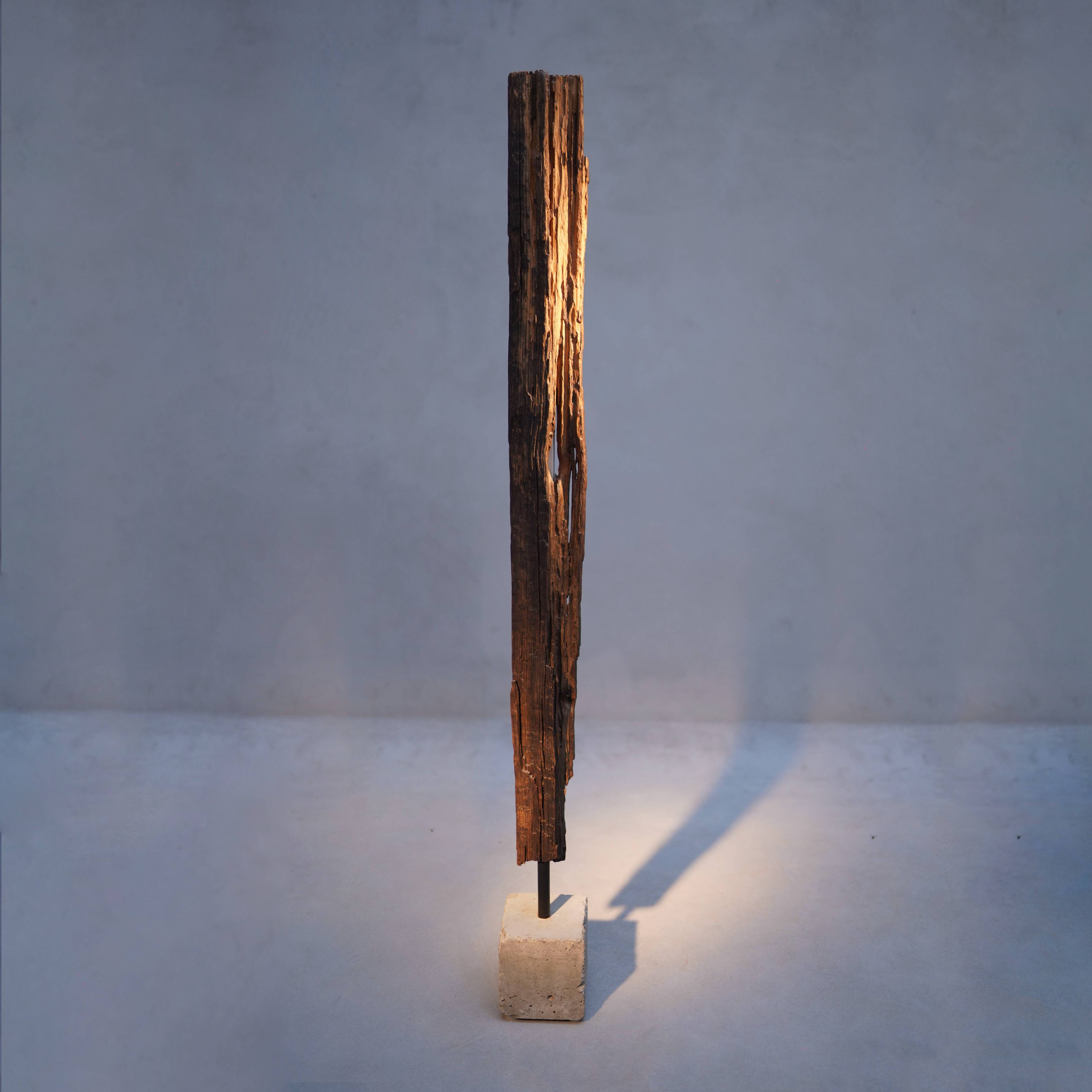 Rotten S Lamp – Archizy