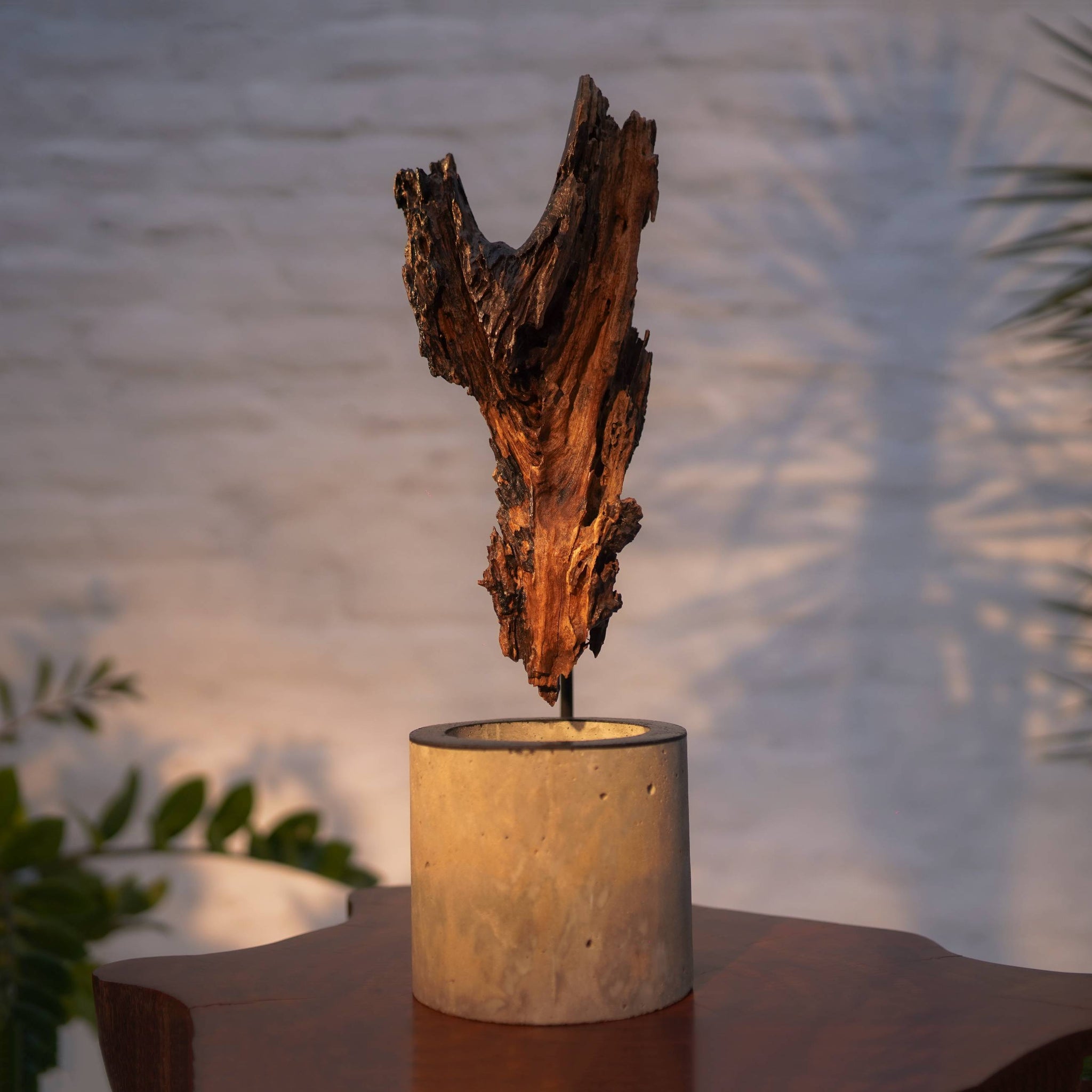Rotten Artsy Lamp – Archizy